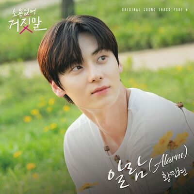 My Lovely Liar OST - DramaWiki