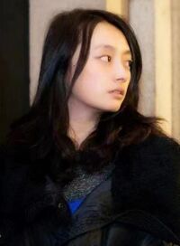 Zhao Cong (writer) - DramaWiki
