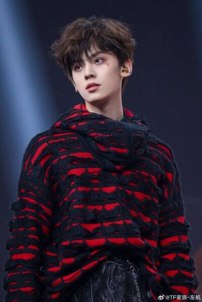 Zuo Hang (singer) - DramaWiki